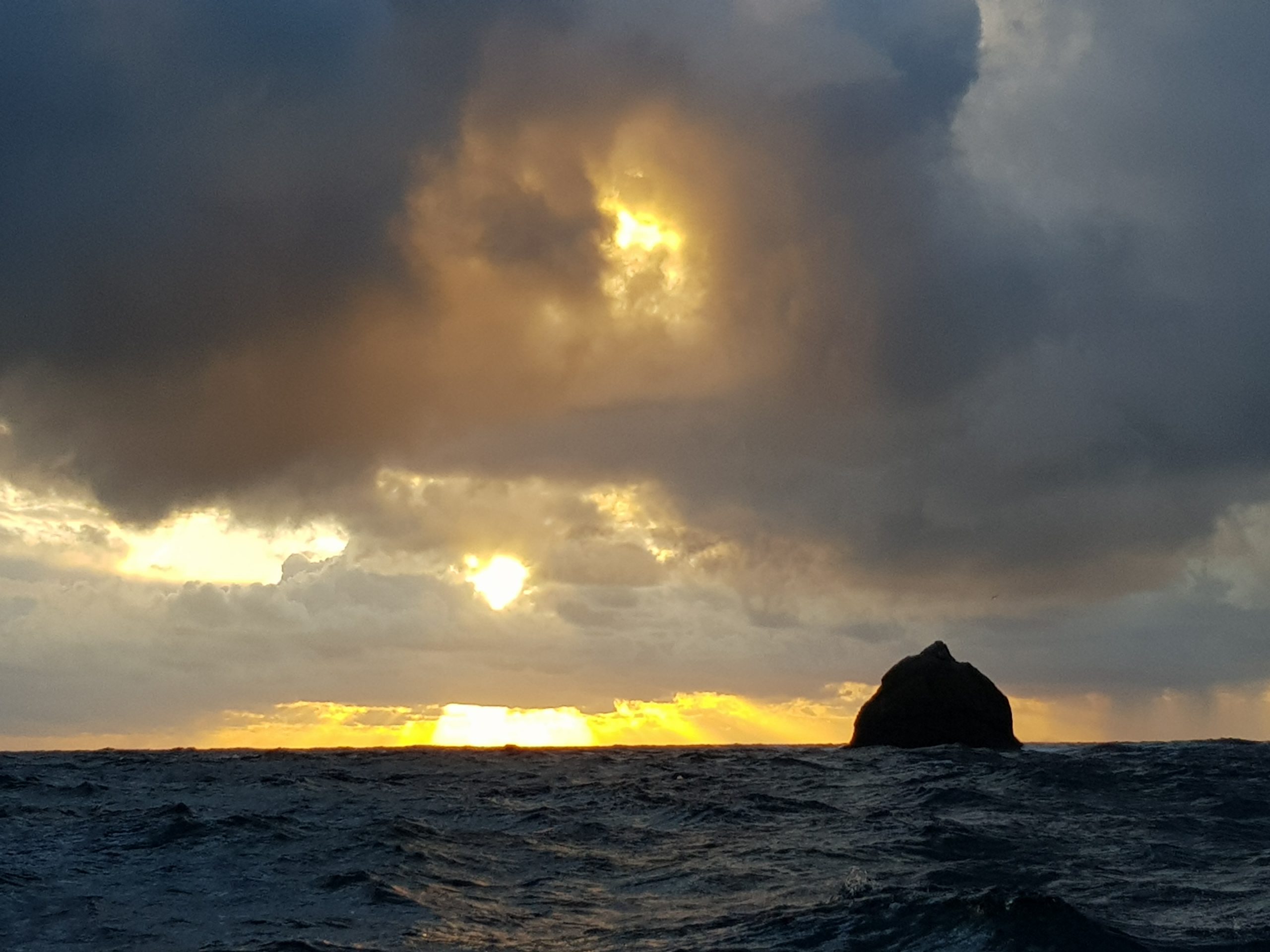 Gallery – Old Man Sailing